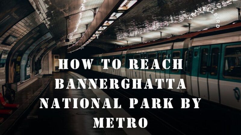 How To Reach Bannerghatta National Park By Metro? 10 Nearby Metro ...