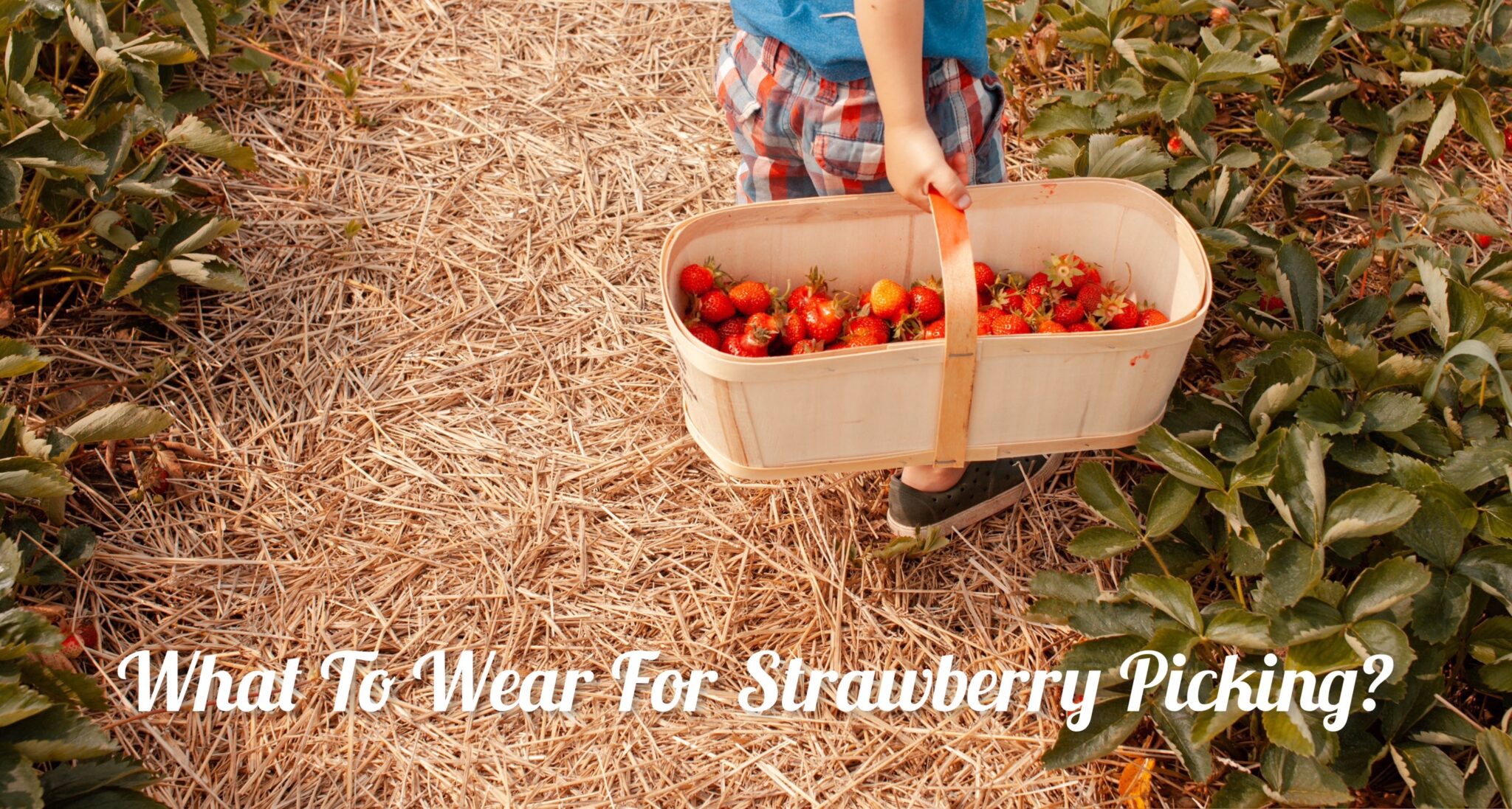 Best Outfit Ideas On What To Wear For Strawberry Picking! - Travels Bird