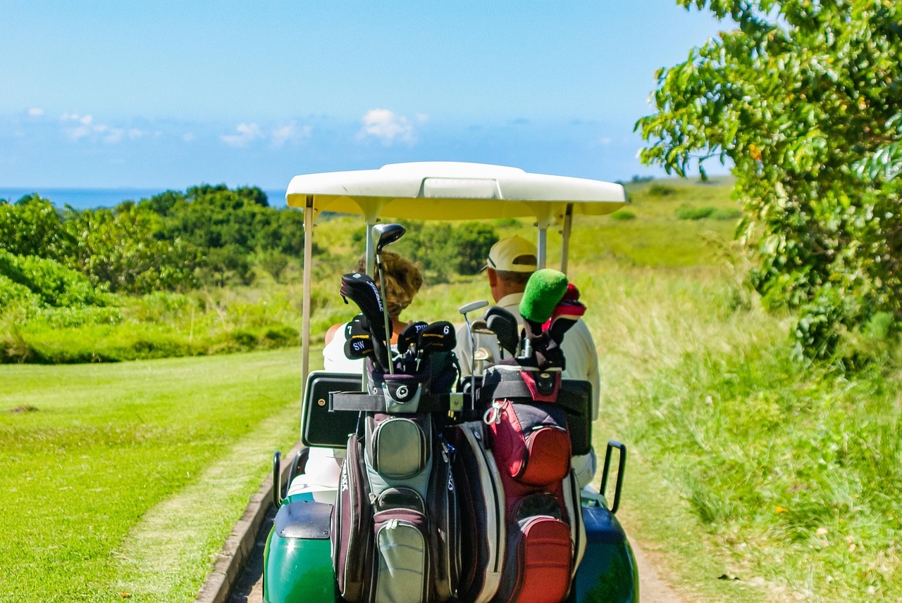 The Rise of Sports Tourism: Why Fans Are Traveling More Than Ever for ...