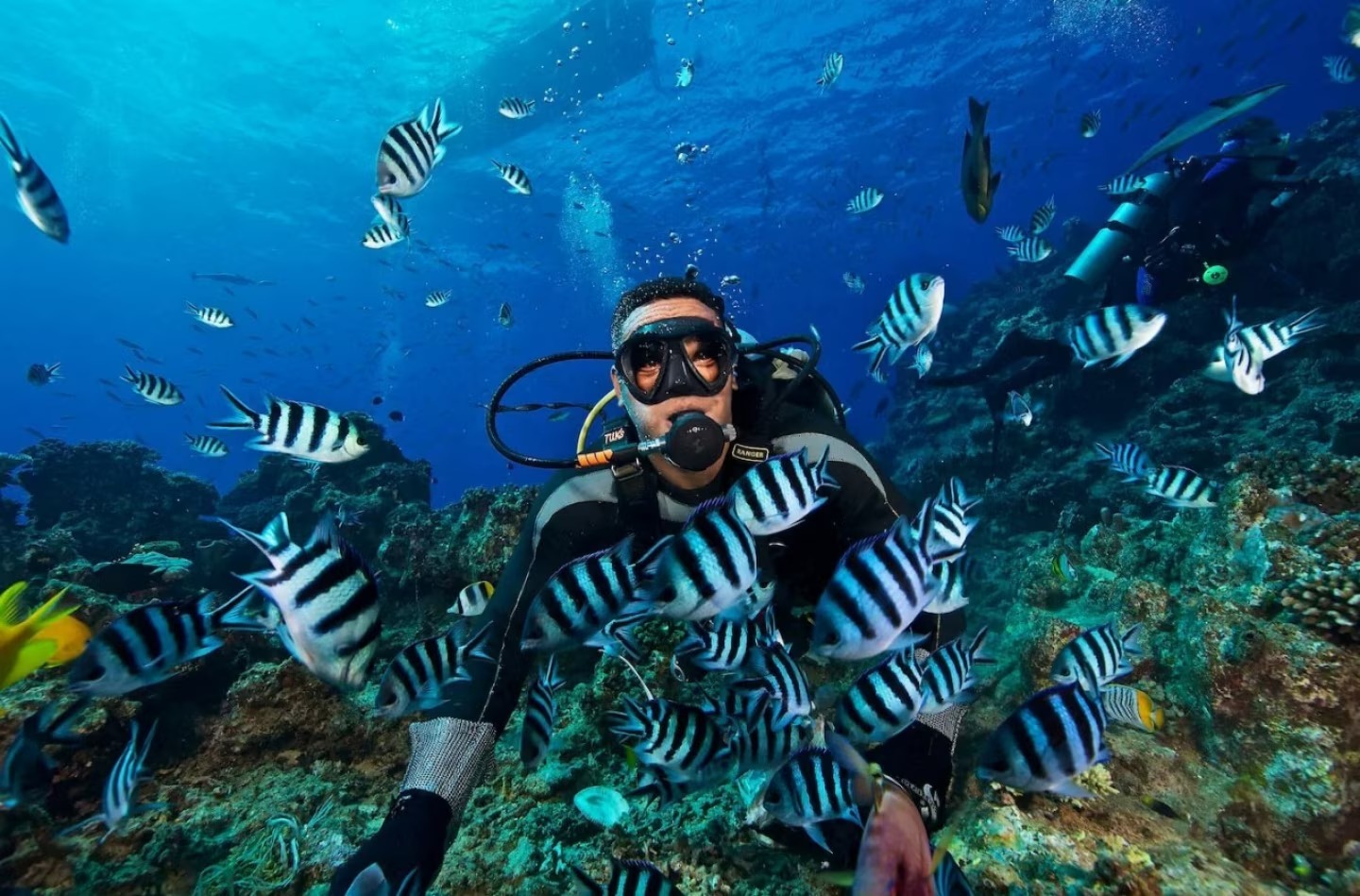 Fiji Scuba Diving: Exploring One of the World’s Most Spectacular ...